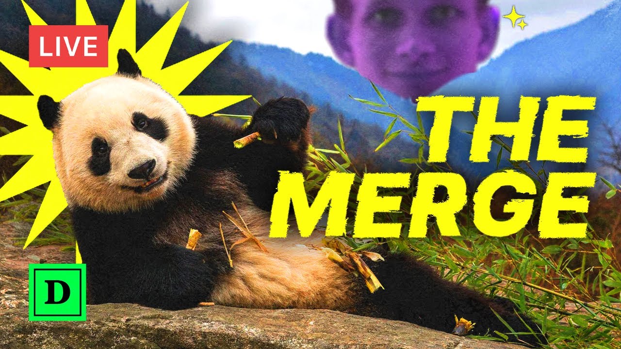 Hours After The Merge — What Happened? - "The Defiant"