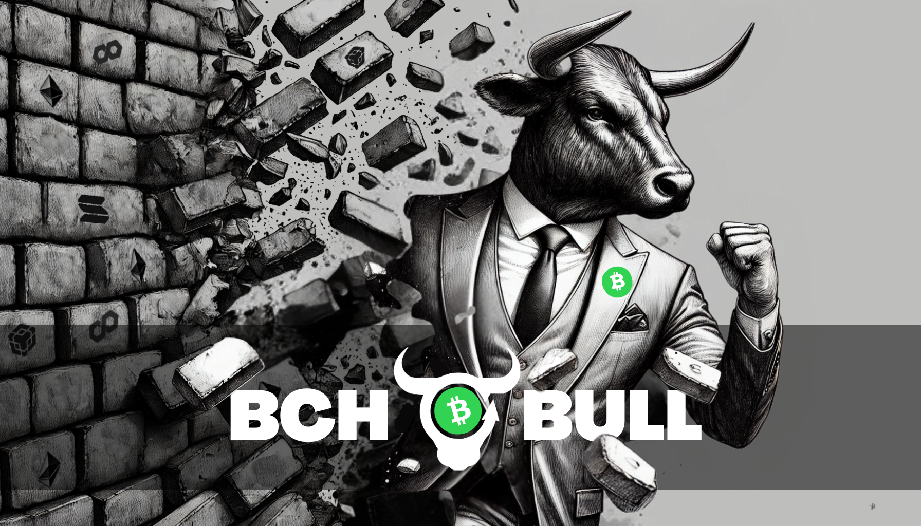 BCH Bull: Breaking Through Traditional DeFi - "The Defiant"