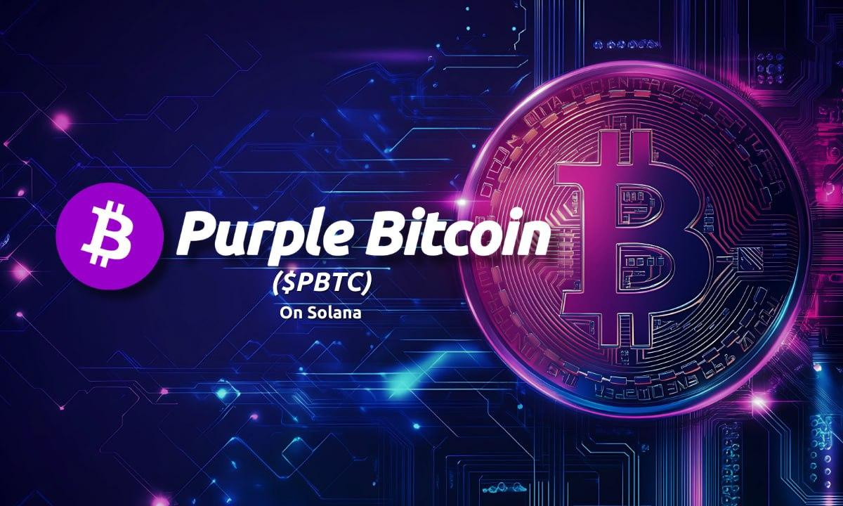 Purple Bitcoin ($PBTC): A Community-Driven Token Designed for Investors ...