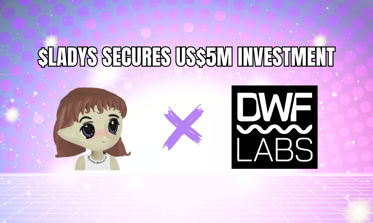 Milady Meme Coin Secures US$5 Million Investment from DWF Labs - "The Defiant"